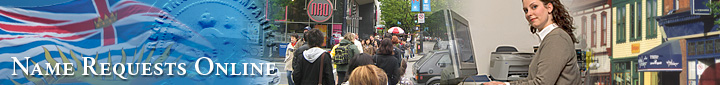 Name Requests Online